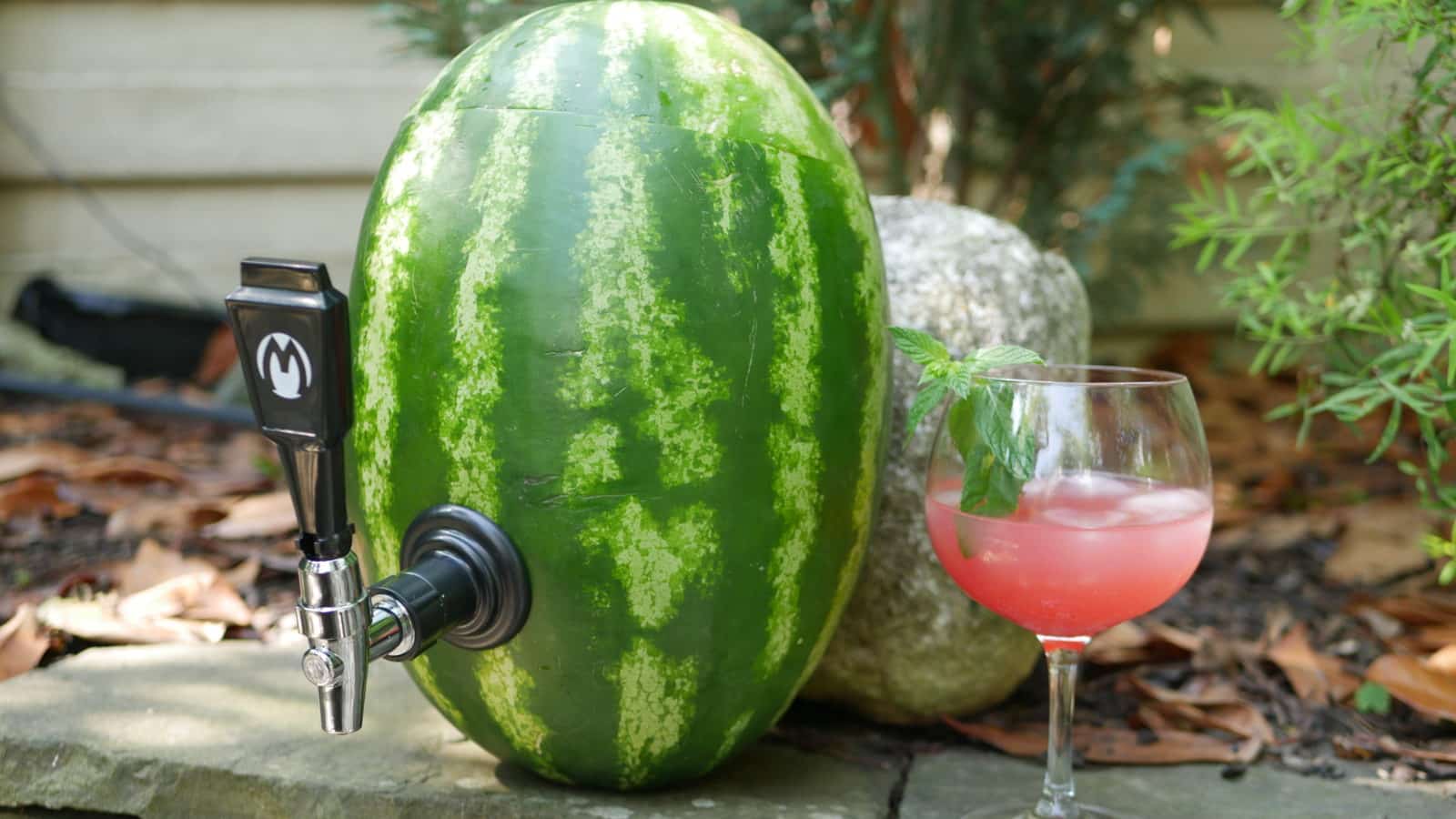 Watermelon Bomb Der Frischekick Mit Schuss Watermelon Bomb Der Frischekick Mit Schuss